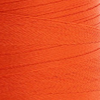 Pumpkin – Parker Jaye